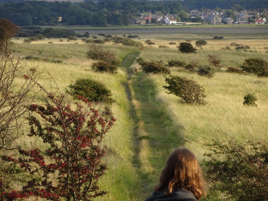 Coastal Walk From Gullane To Aberlady In Scotland: Your Complete Guide