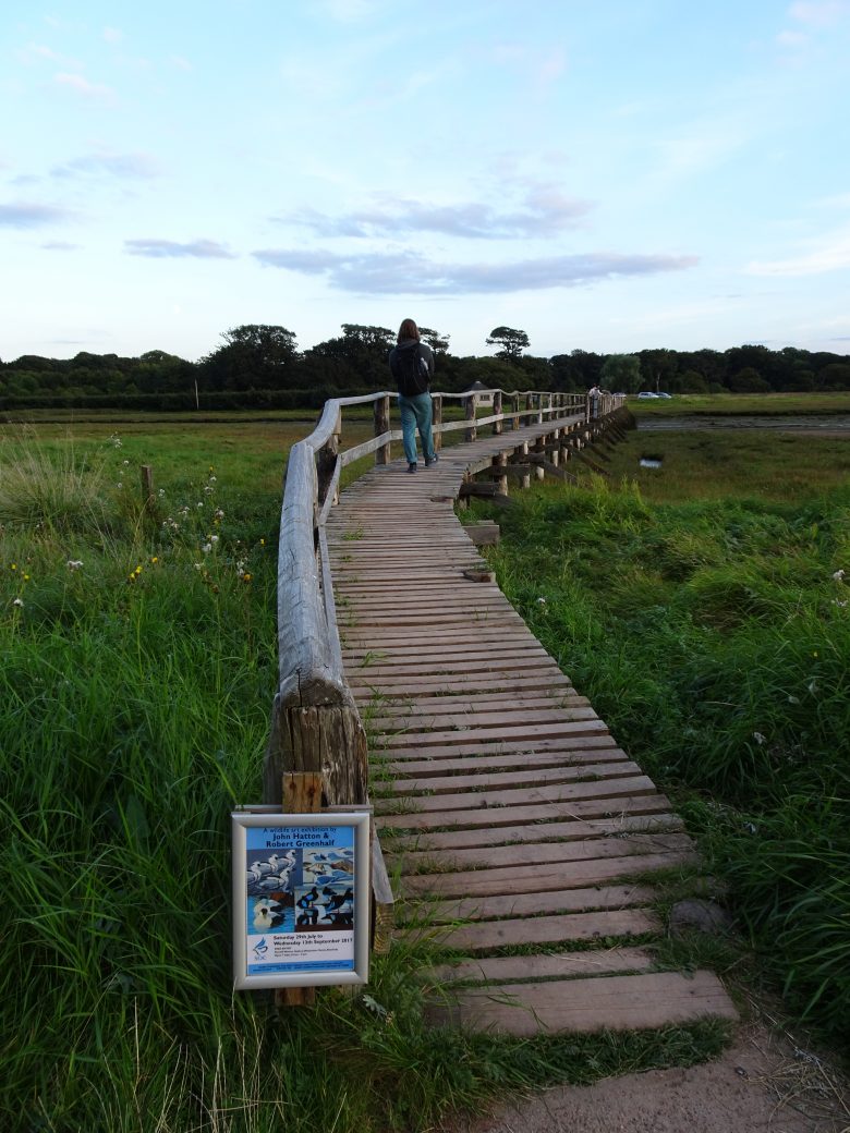 Coastal Walk From Gullane To Aberlady - Wild Lovely World