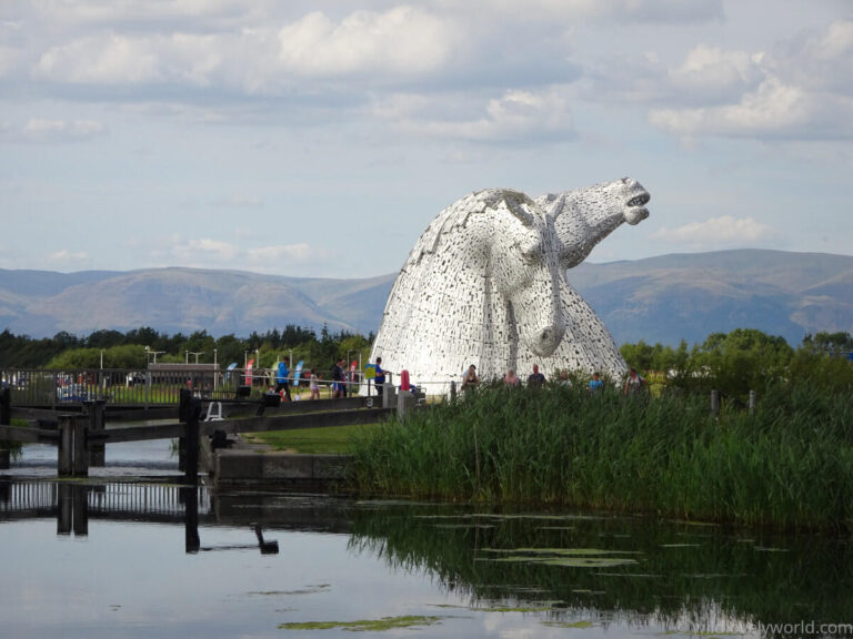 The Kelpies In Falkirk, Scotland: Ultimate Visit Guide (2025)