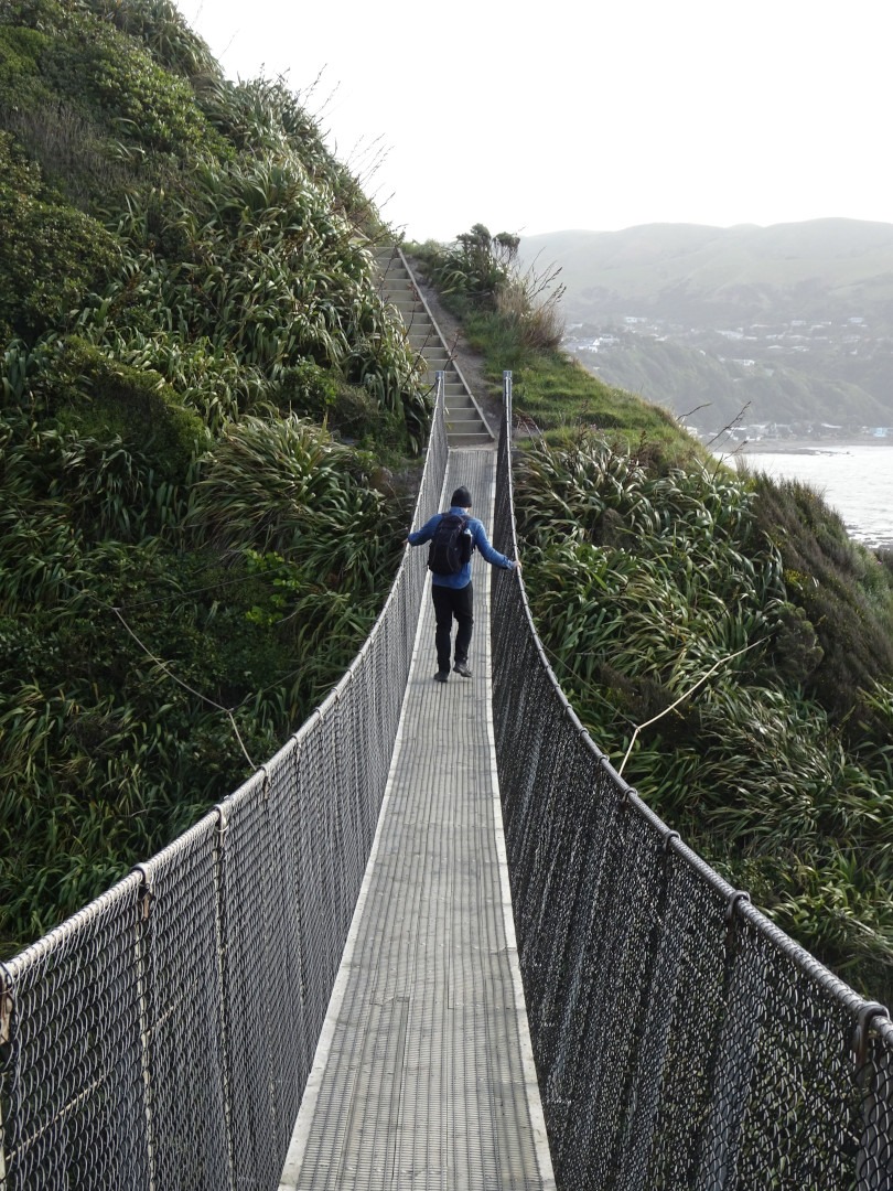 Escarpment Track: Paekakariki To Pukerua Bay | Complete Guide & Map