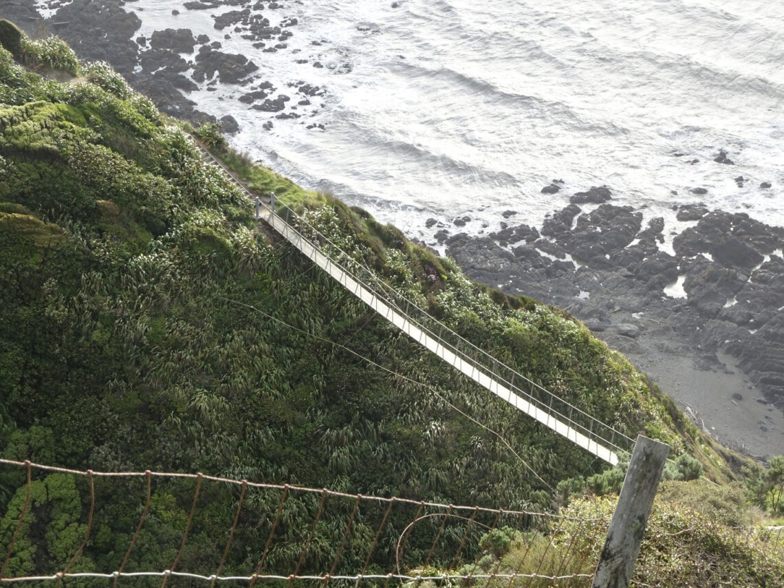 Escarpment Track: Paekakariki To Pukerua Bay | Complete Guide & Map