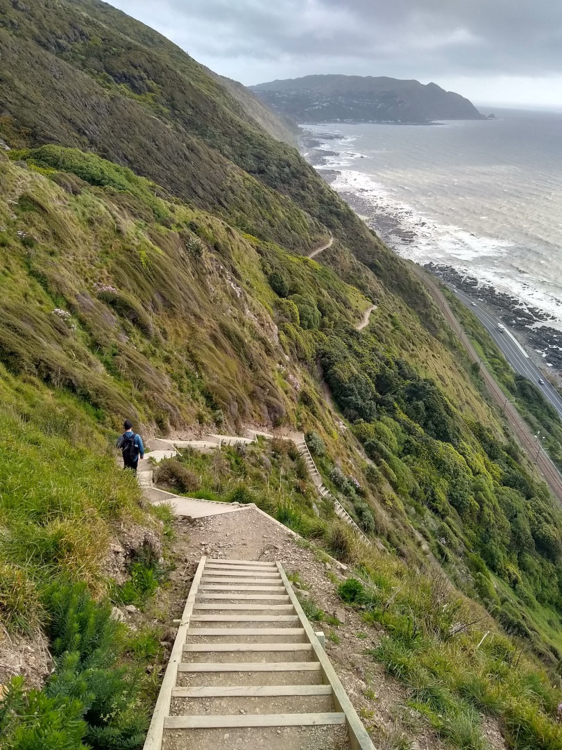 Escarpment Track: Paekakariki To Pukerua Bay | Complete Guide & Map