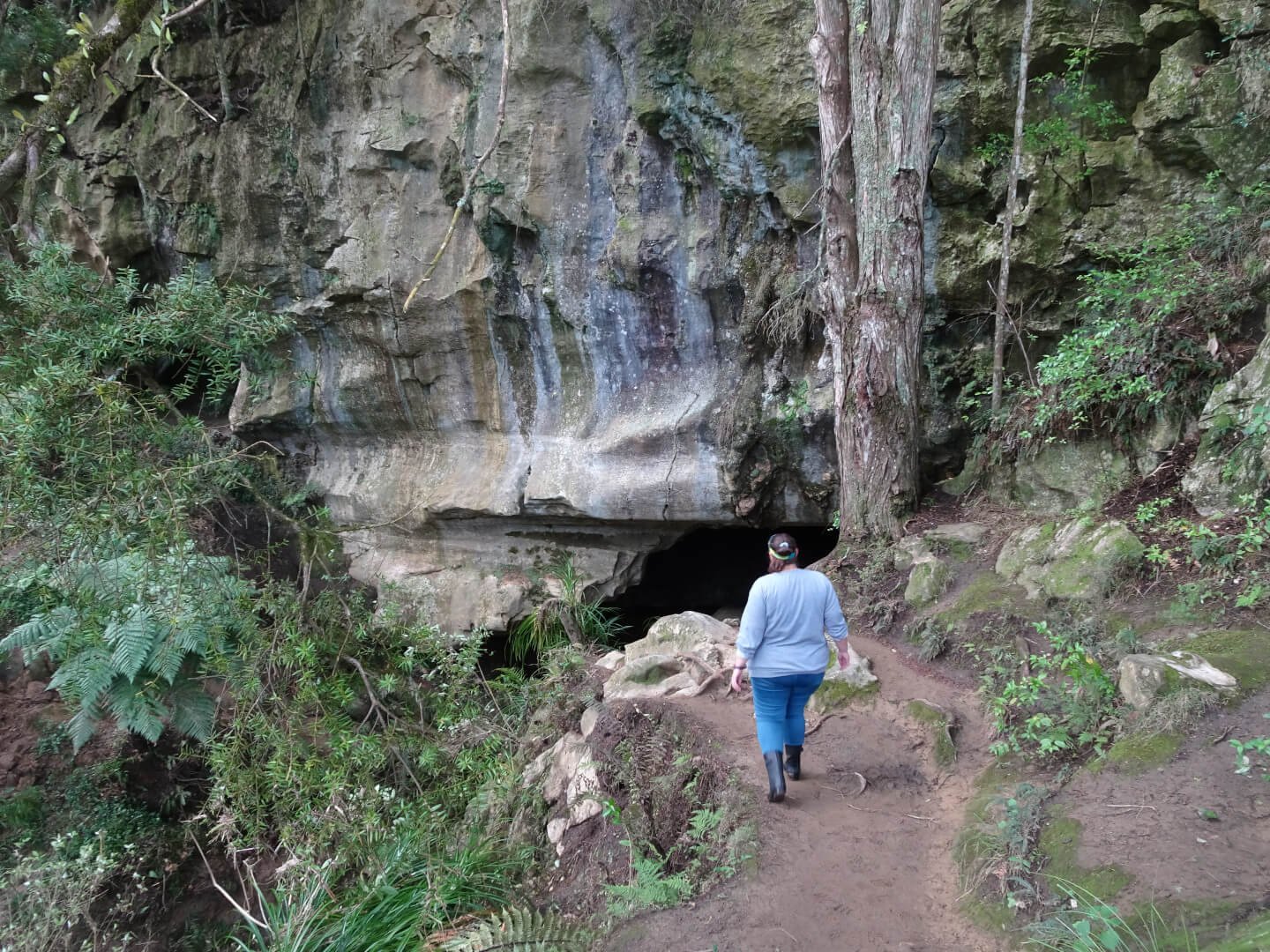 Waipu Caves: The Best FREE Glowworm Cave In New Zealand