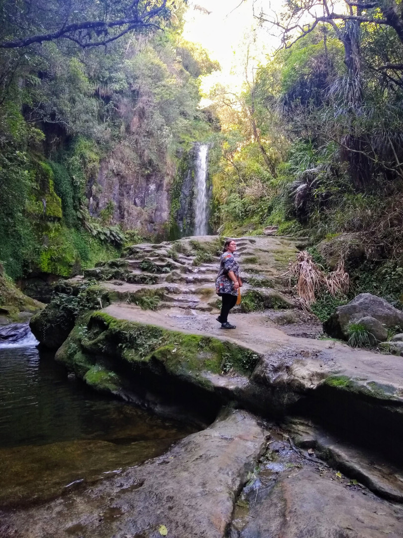 30 Amazing Waterfalls To Visit In The North Island, New Zealand