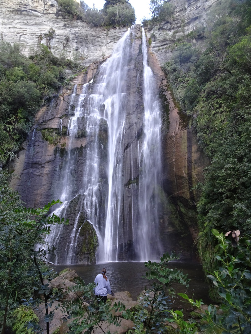 30 Amazing Waterfalls To Visit In The North Island, New Zealand