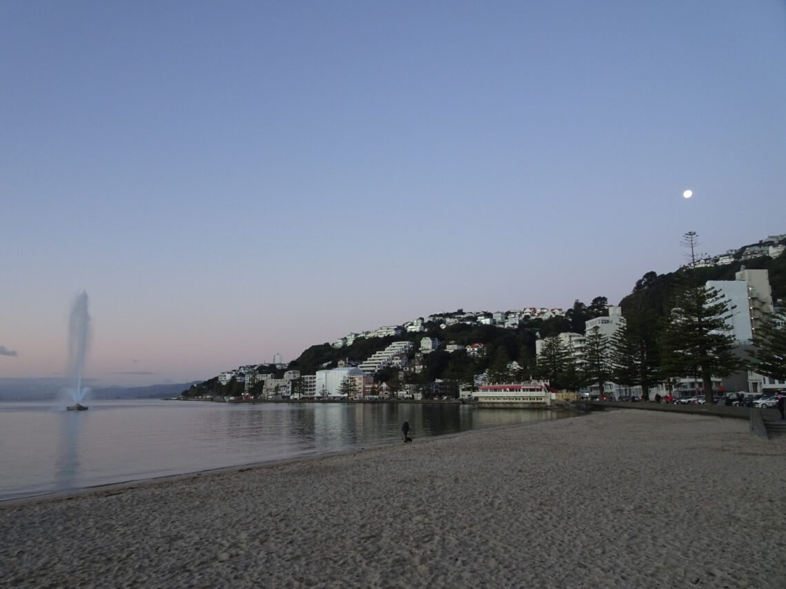 12 Best Free Things To See & Do In Wellington
