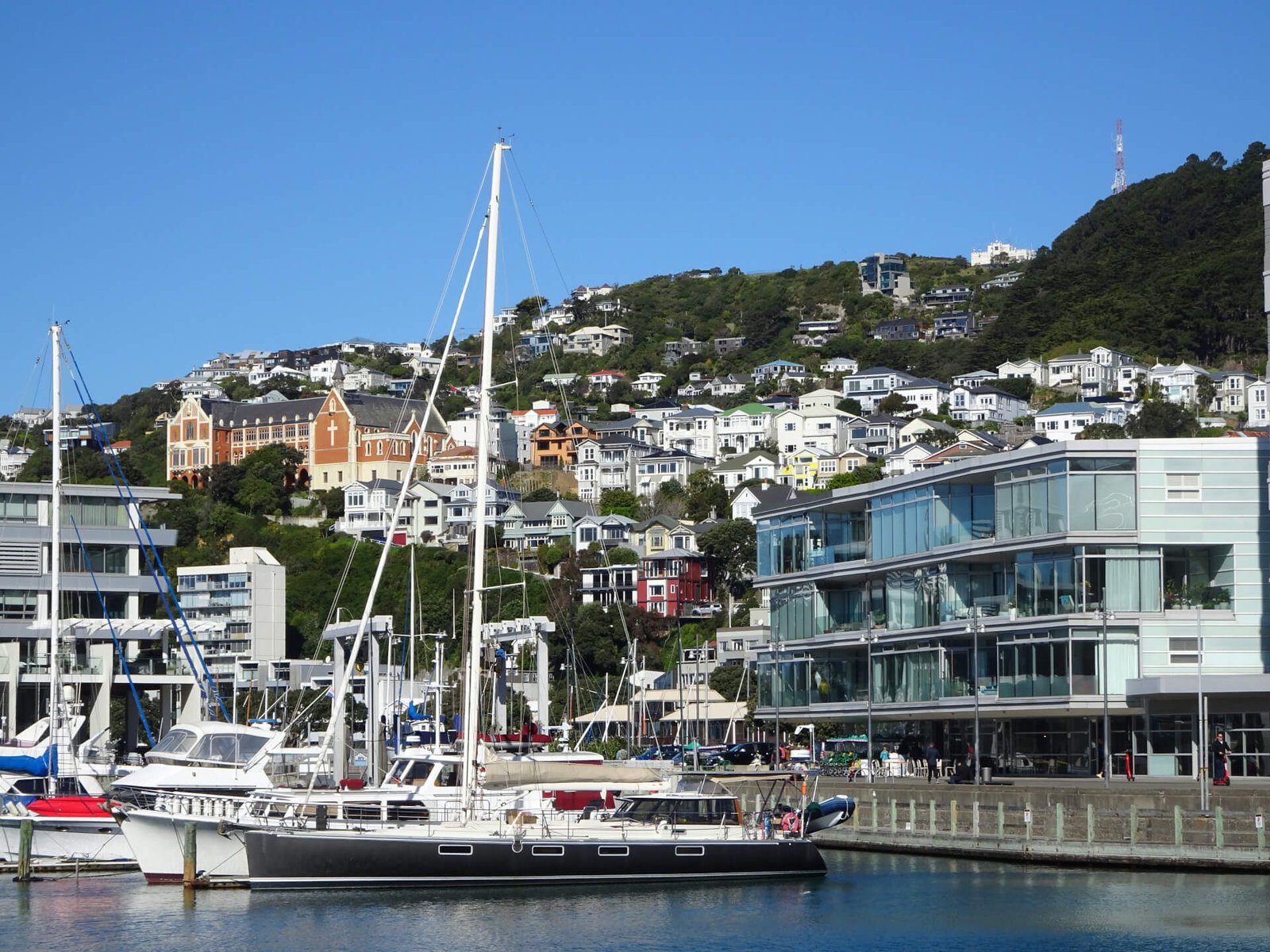 12 Best Free Things To See & Do In Wellington