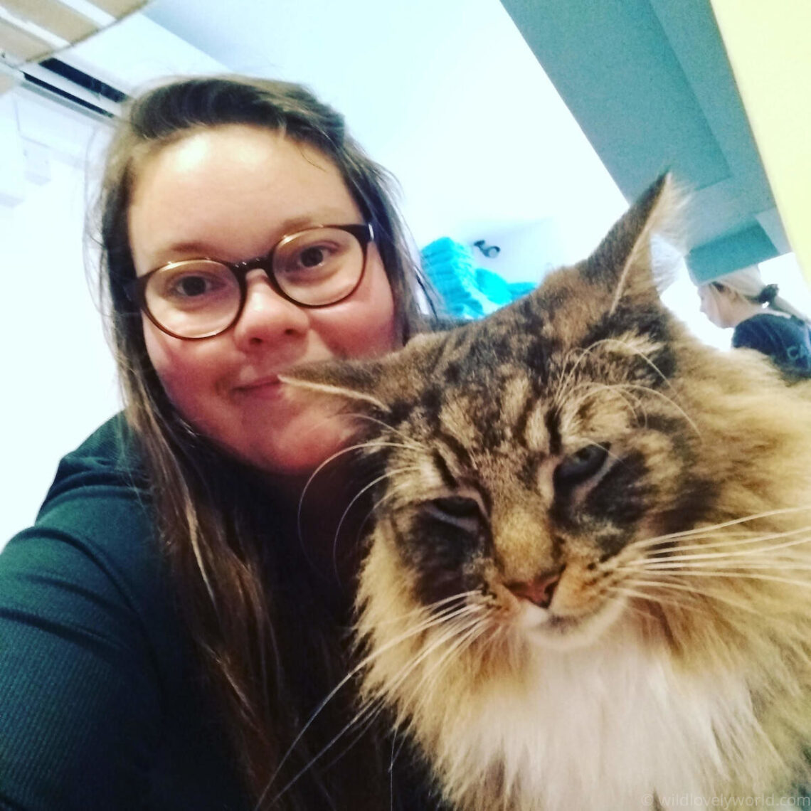 19 Best Coffee Shops & Cafes In Edinburgh Old Town