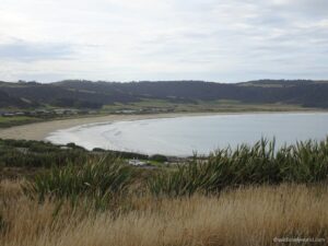 10 Best Things To Do In Curio Bay | The Catlins, New Zealand