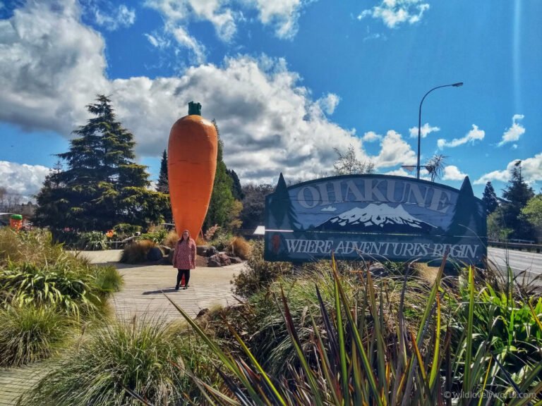 25 Big Things In North Island | New Zealand Giant Sculptures