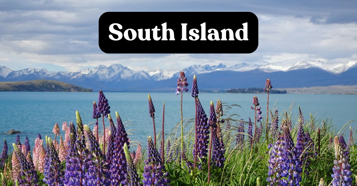 North Vs South Island New Zealand: Which Is Better To Visit?
