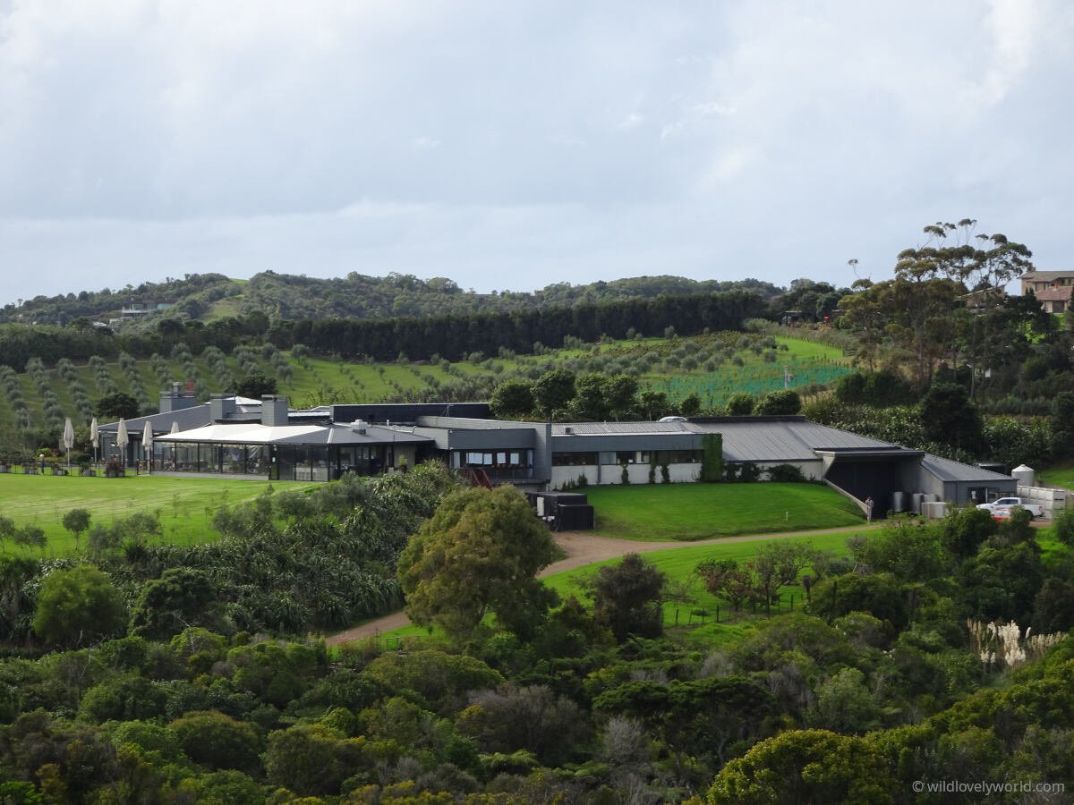 Waiheke Island Wineries: Ultimate Guide For Wine Tasting (& Map)