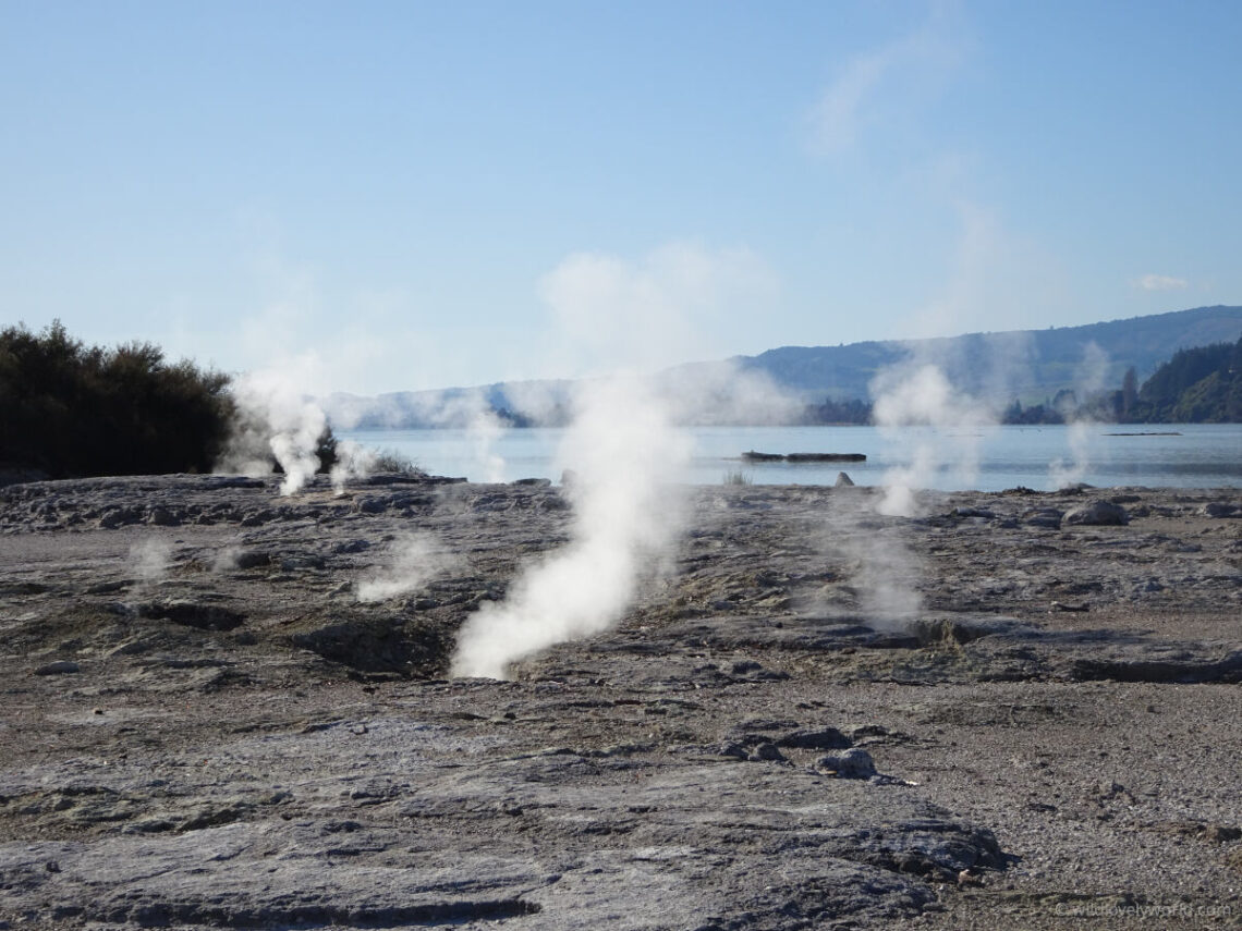 18 Best Hot Pools & Springs In North Island, New Zealand