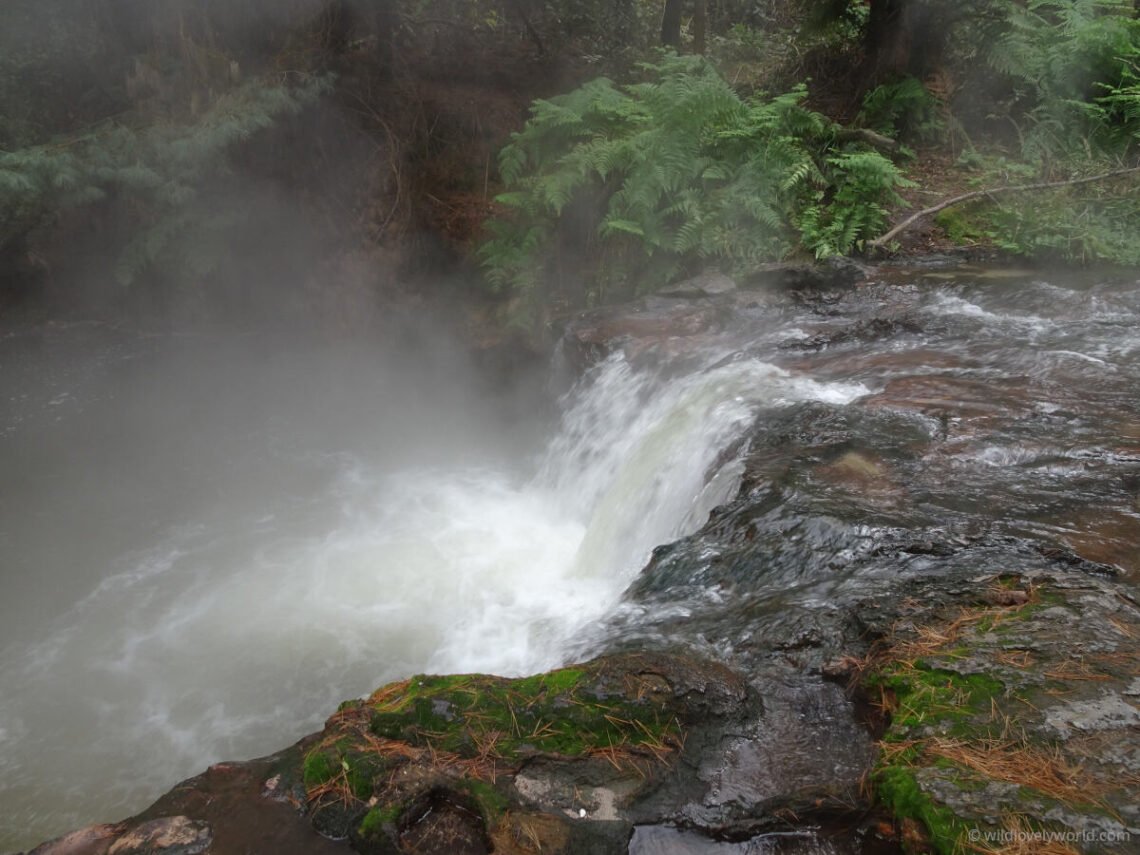 Free Natural Hot Pools & Springs In North Island, New Zealand