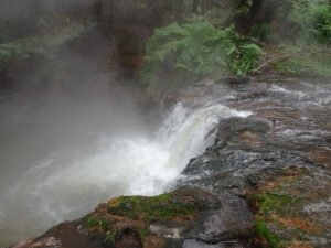 Free Natural Hot Pools & Springs In North Island, New Zealand