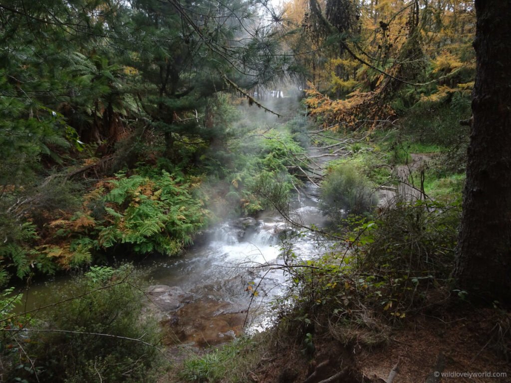 Free Natural Hot Pools & Springs In North Island, New Zealand